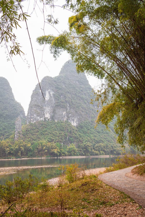 The Path through Bamboo Leaves Along the Li River, Guilin, China Stock ...