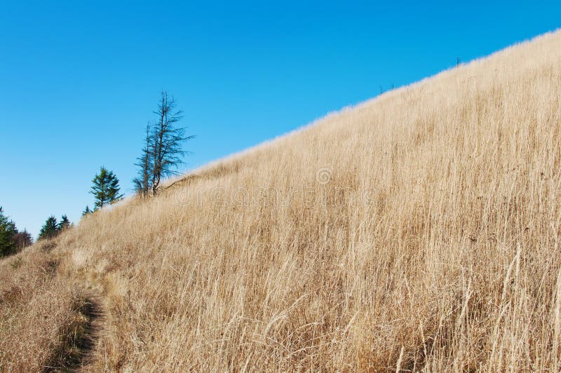 A Path in a Barren Desolate Field Stock Photo - Image of hill, mountain ...