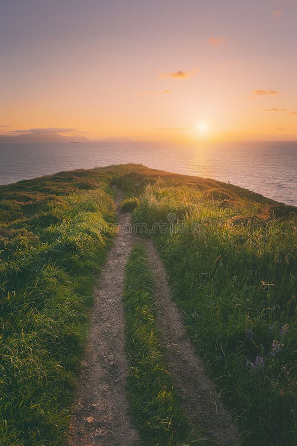 Vintage Path in Nature with Grungy Textures Stock Image - Image of ...