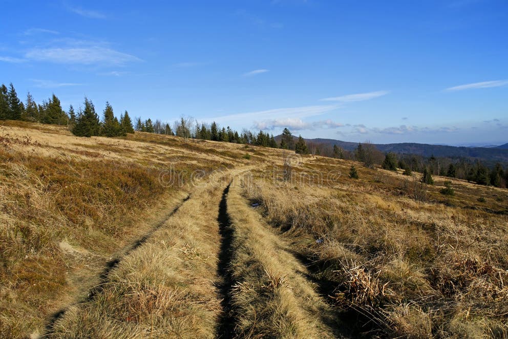 Path through Mountain Glade Stock Image - Image of path, beskidy: 206497415