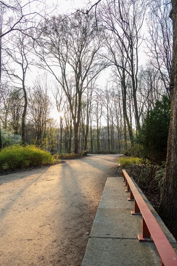 Path and Bench in a Park at Sunset Stock Image - Image of landscape ...