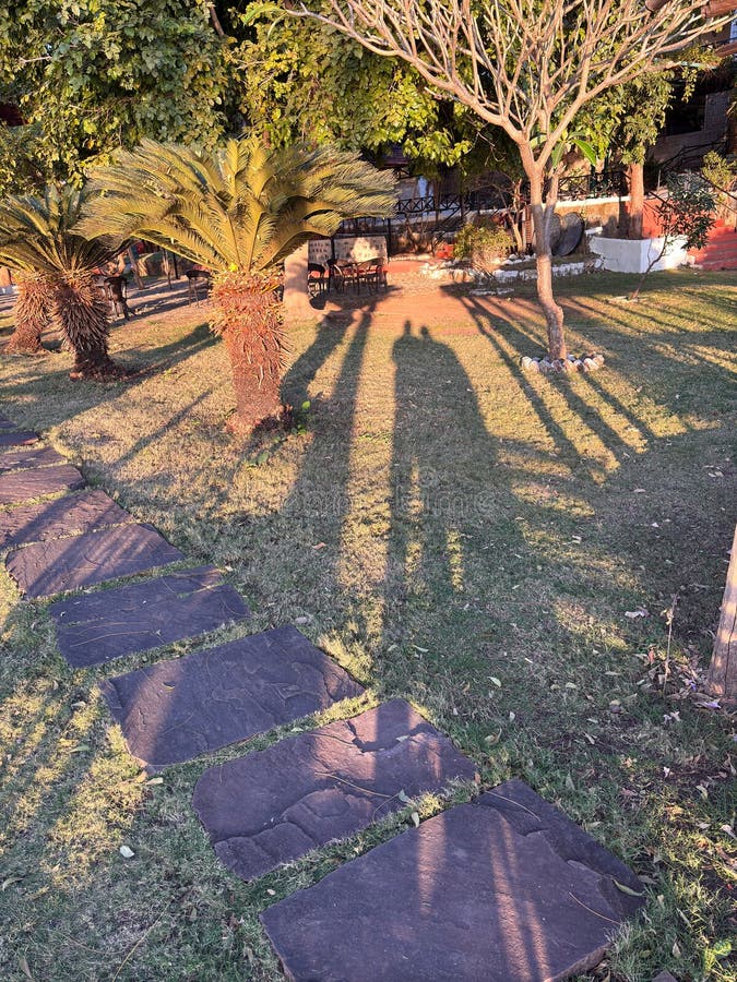A Path with a Bench and a Tree in the Background Stock Photo - Image of ...