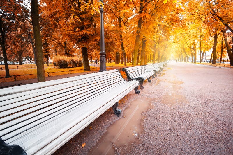 Path with Benches in the Park Stock Image - Image of tranquil, sunny ...