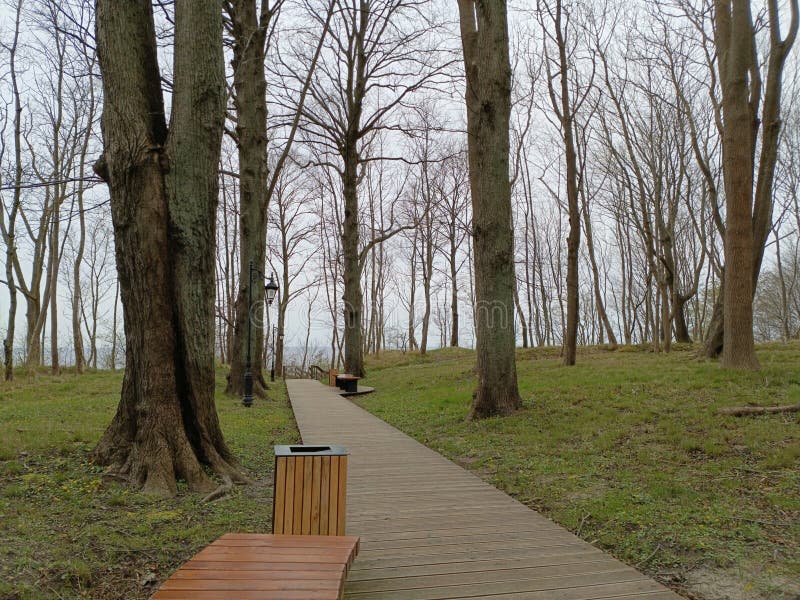 Path and Benches in the Park Stock Photo - Image of nature, rock: 316338692