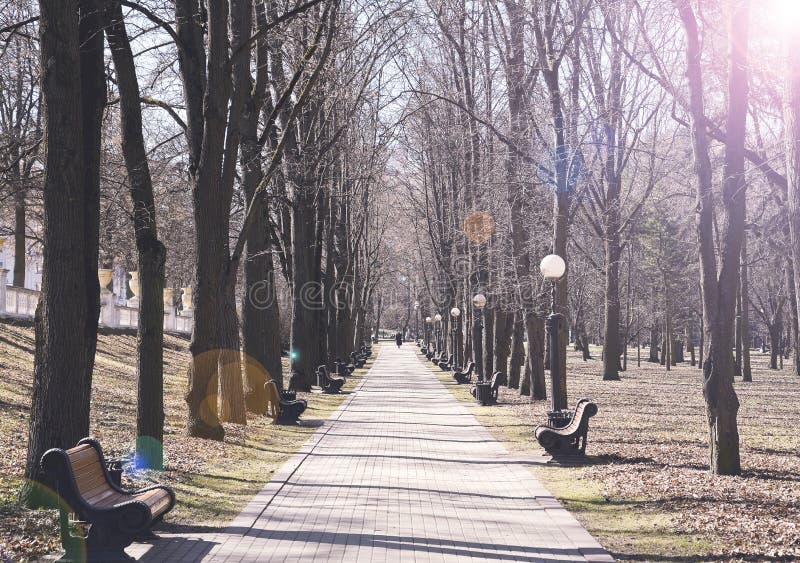 Path with Benches for Rest in the Park Stock Image - Image of beam ...