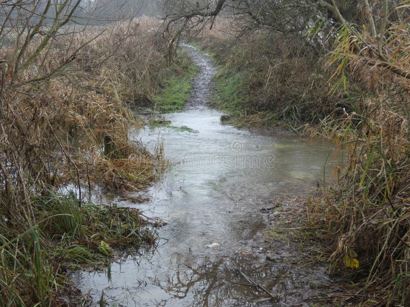 373 Trail Blocked Stock Photos - Free & Royalty-Free Stock Photos from ...