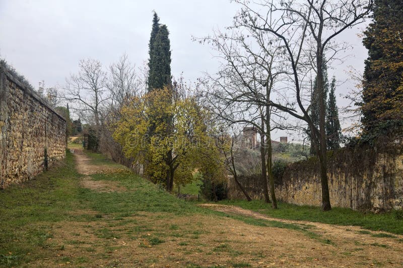 Path Bordered by Stone Walls with a Tree Growing in the Middle of it in ...