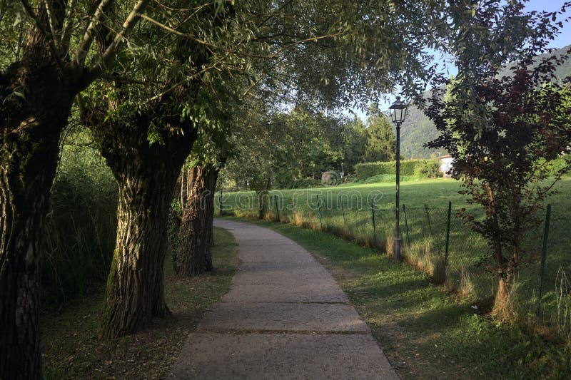 Path Bordered by Trees at Sunset Stock Photo - Image of lawn, dusk ...