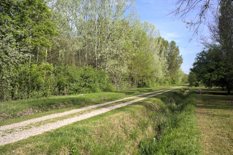 Path Bordered by Trenches in a Park Stock Image - Image of countryside ...