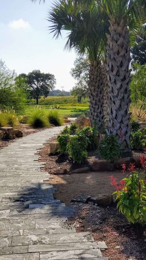 Path in botanical garden stock image. Image of backyard - 199802547