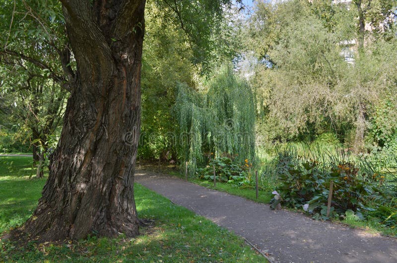 Path in a botanical garden stock photo. Image of bright - 89951564