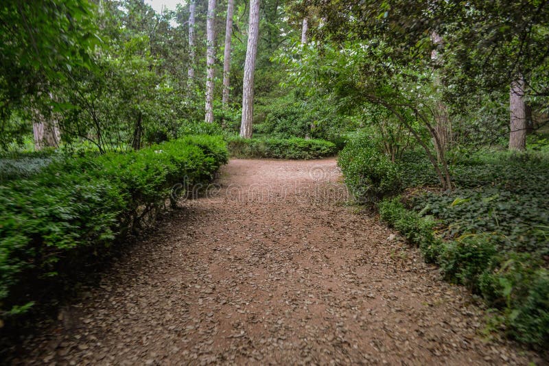Path in a botanical garden stock image. Image of unity - 77678431