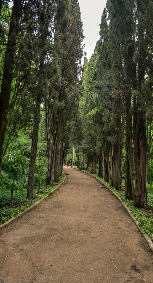 Path in a botanical garden stock image. Image of nature - 77678497