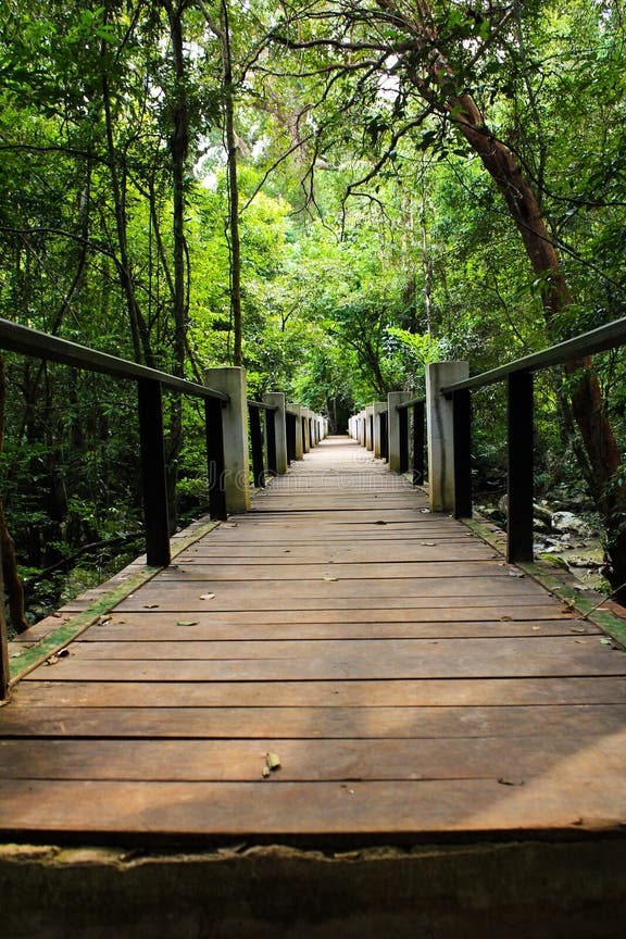 Path bridge stock image. Image of green, outside, path - 16177985
