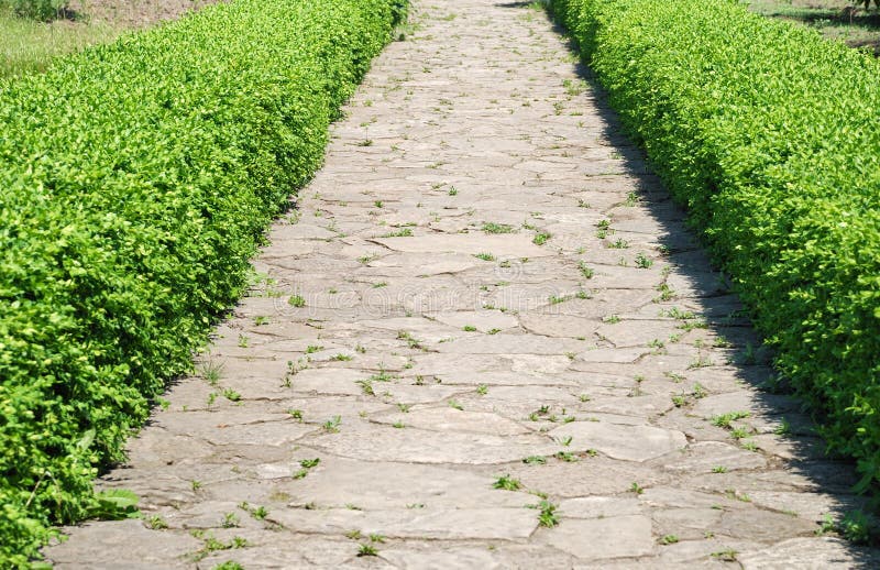 Garden path stock photo. Image of curve, color, beauty - 13699044