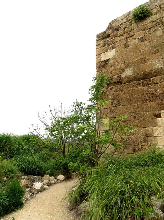 Path in the Bushes - Kakoon Hill, Isarel Stock Image - Image of grey ...