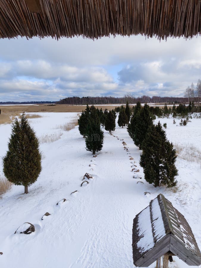 Cedar Log Walkway Cover Leading Up from the Ocean at Tofino, BC Stock ...