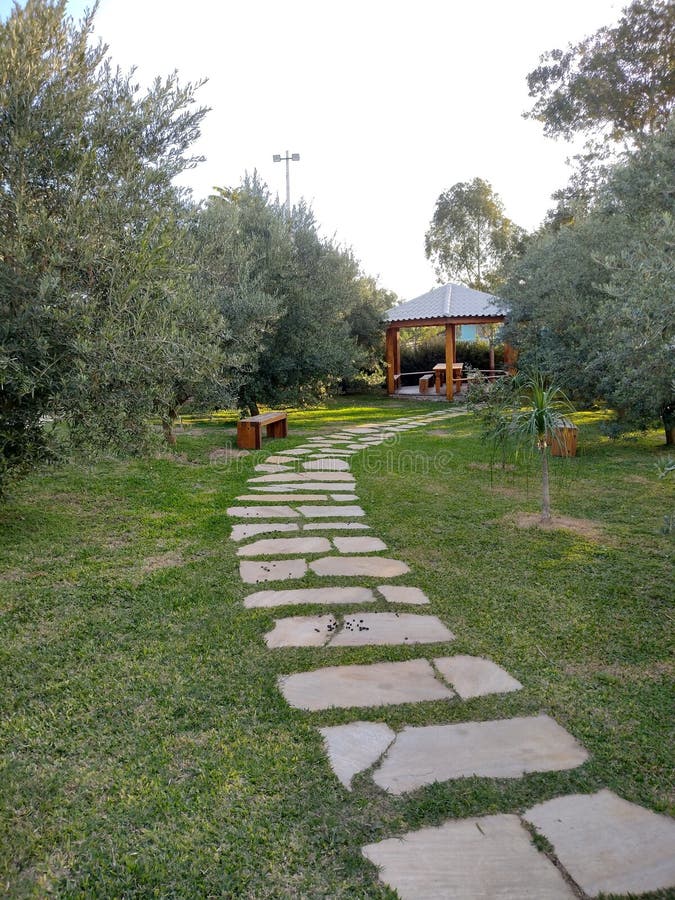 Path between Cement Slabs and Green Grass with a Cabin in the ...