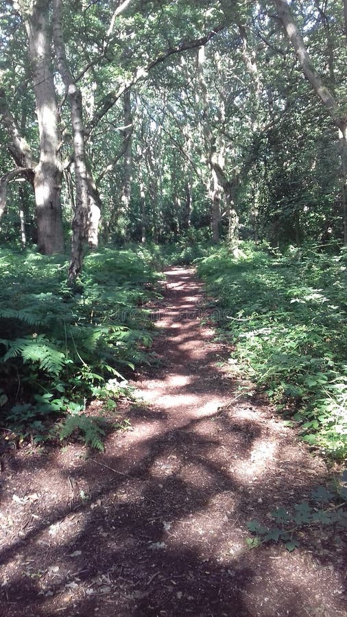 Path on Chislehurst Common Kent England Stock Photo - Image of common ...