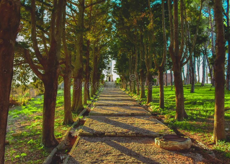 The path of Christ stock image. Image of hour, golden - 135853299