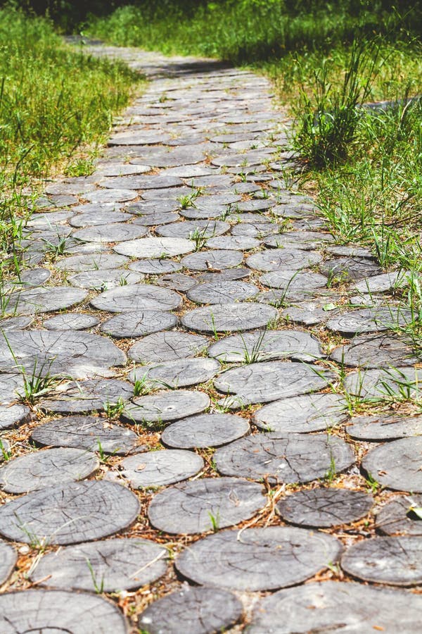 Path of Circumcision of Round Logs Stock Image - Image of ring, pattern ...