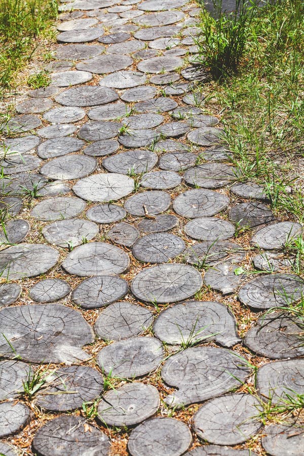 Path of Circumcision of Round Logs Stock Photo - Image of natural ...