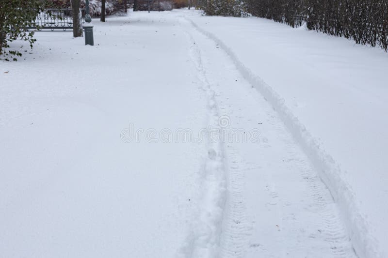 Path in a City Park after a Snow Storm, Clearing Snow on Pedestrian ...