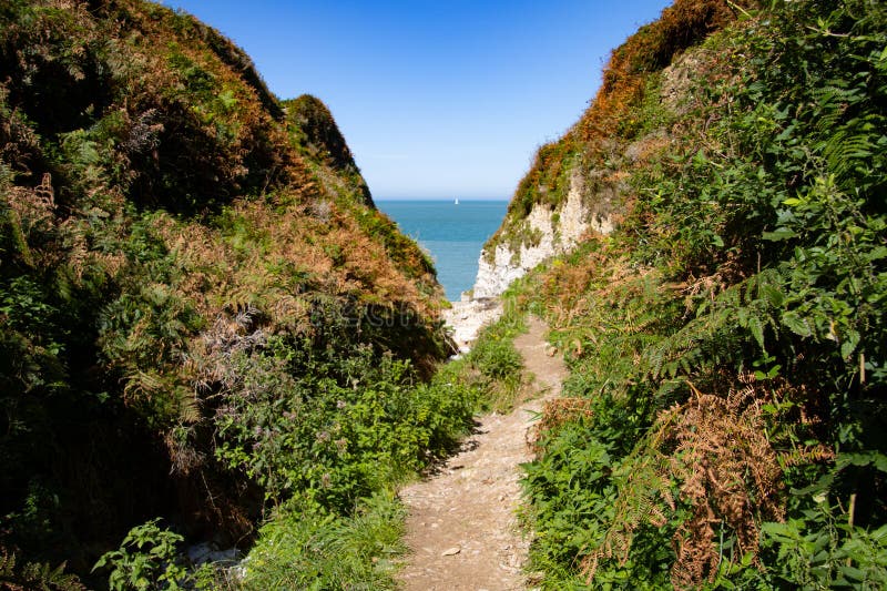 Path between Cliffs Leading Toward the Beach Stock Image - Image of ...