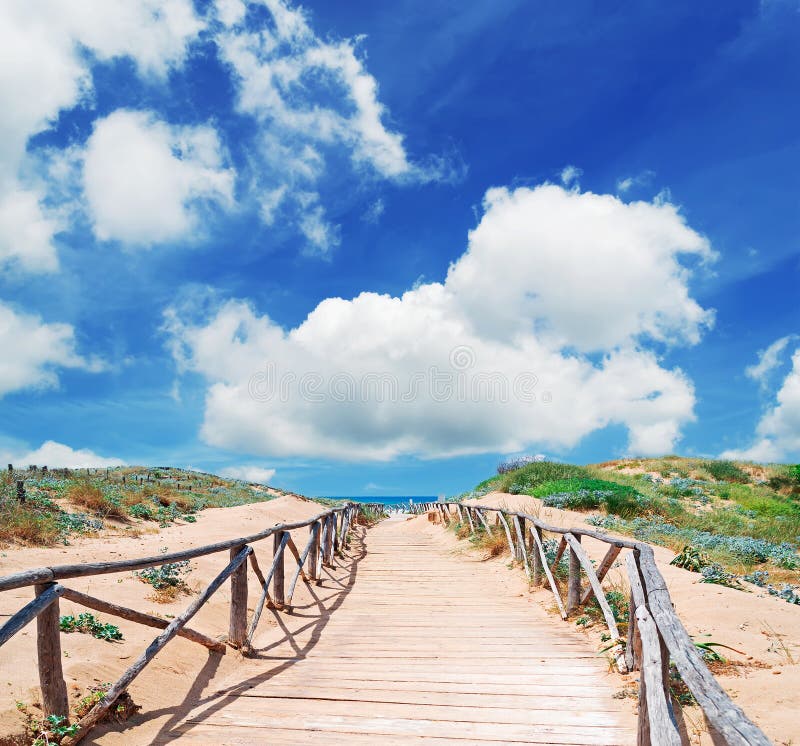 Path and clouds stock image. Image of coast, plants, sardegna - 32176049