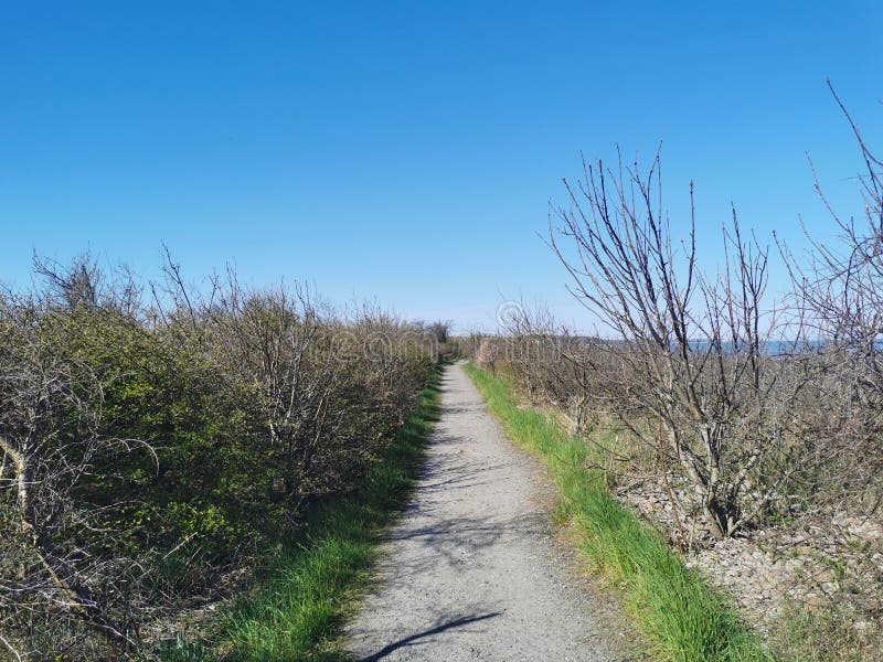 A Path on a Coastal Protection Stock Image - Image of road, mecklenburg ...