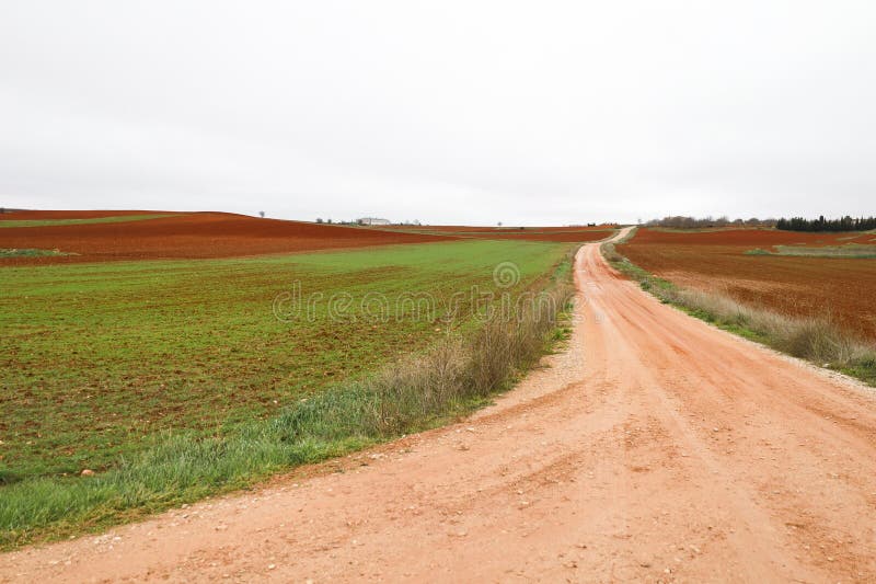Path and Colorful Fields Planted in Cuenca Region Stock Photo - Image ...