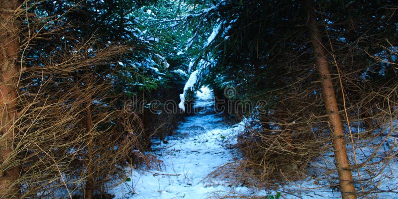 Snow Lane stock photo. Image of cross, america, freezing - 2033516