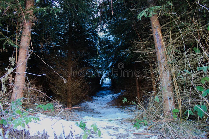 Snow Lane stock photo. Image of cross, america, freezing - 2033516