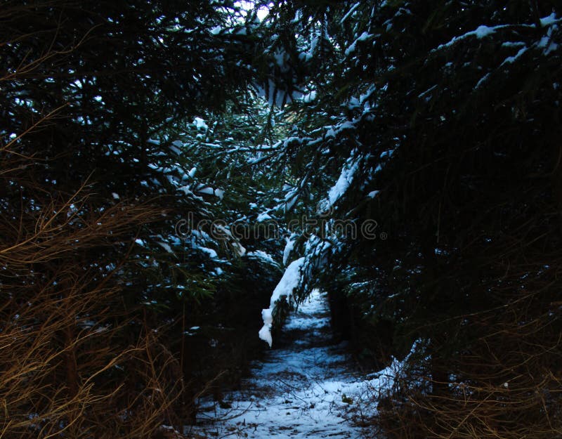 Snow Lane stock photo. Image of cross, america, freezing - 2033516