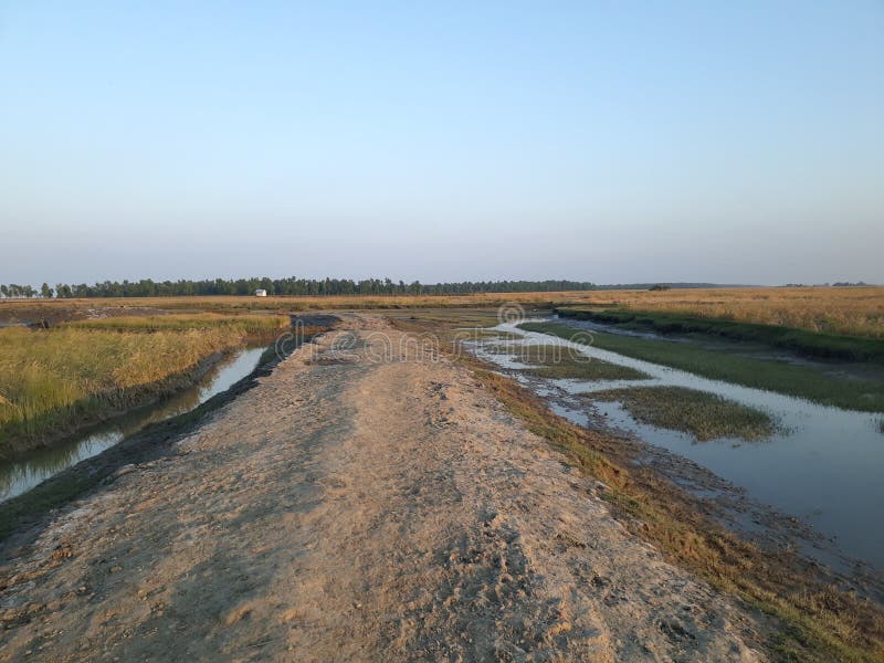 Path in a Country Area with Rivers and Fields Around Stock Photo ...