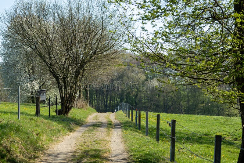 Path in country stock image. Image of rural, natural - 162892265