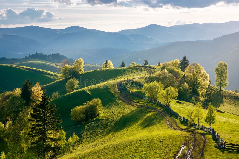 Path through Countryside Fields. Stock Image - Image of dirt, plain ...