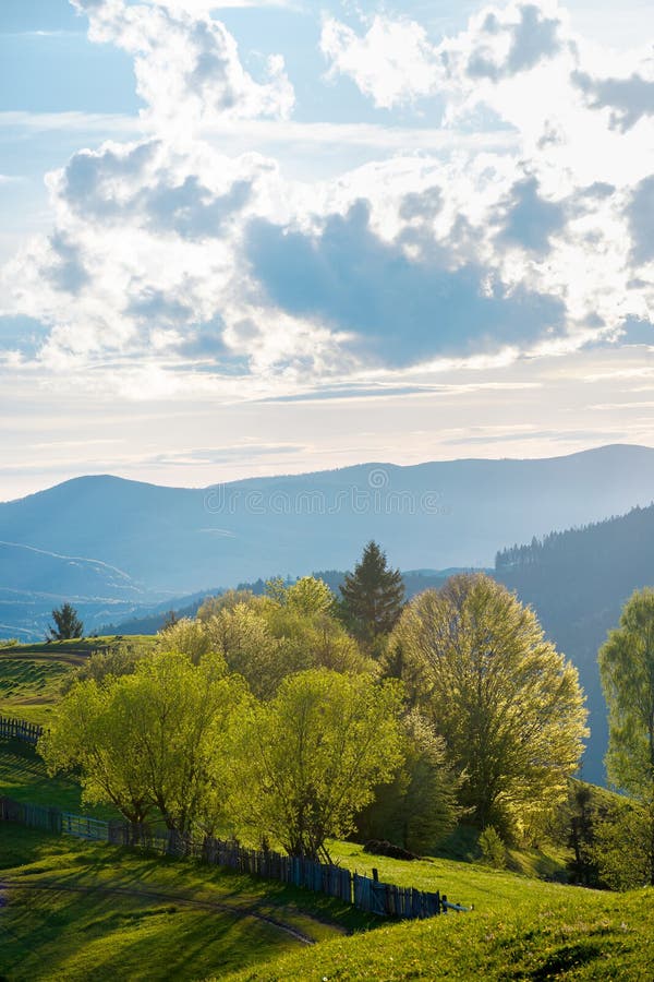 Path through Countryside Fields. Stock Image - Image of curve, country ...