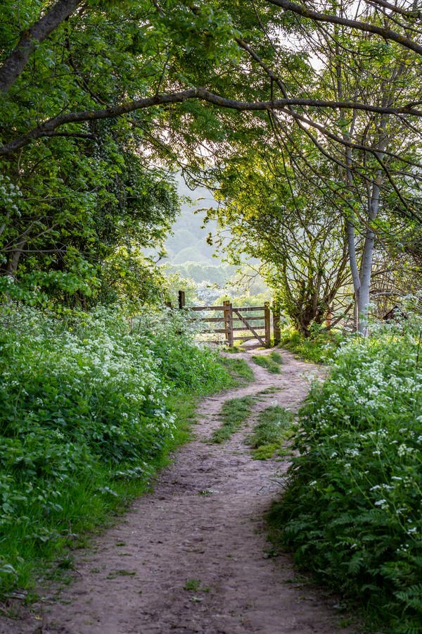 A Path in the Countryside stock image. Image of spring - 182688821
