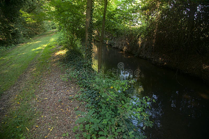 Path in the Countryside Next To a Stream of Water Stock Photo - Image ...