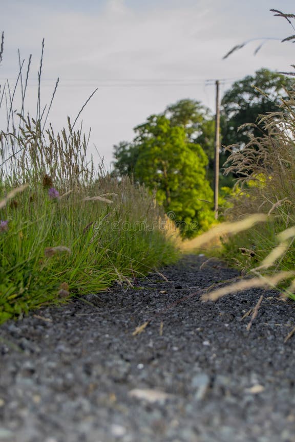 Path through Countryside stock image. Image of outdoor - 109964623