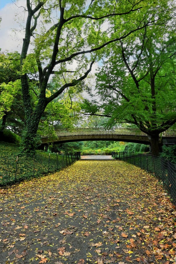 Path Covered with Fall Leaves and Bridge Over the Pathway Stock Photo ...