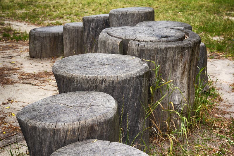 Path from the Cracked Tree Stumps Stock Photo - Image of exercise ...