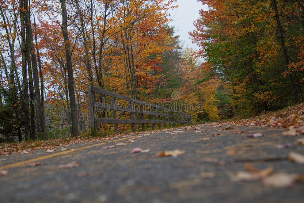 Path with a Crooked Horizon Stock Image - Image of autumn, path: 168530761