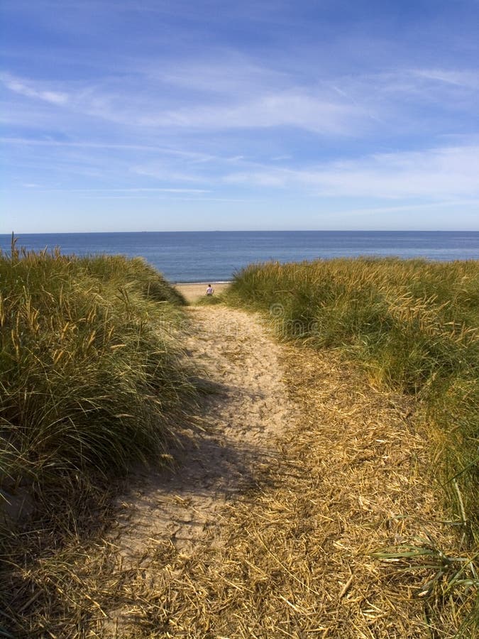 Path Crossing Sand Dune To the Sea Stock Photo - Image of denmark, path ...