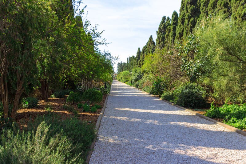Path of Crushed Stone with Trees and Shrubs Around the Edges Stock ...