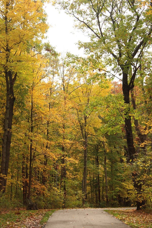 A Path Curving through a Forest Preserve in Autumn with Beautiful Fall ...