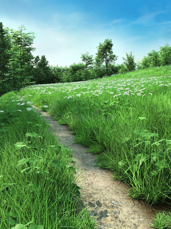 Meadow path stock illustration. Illustration of cherry - 19009029