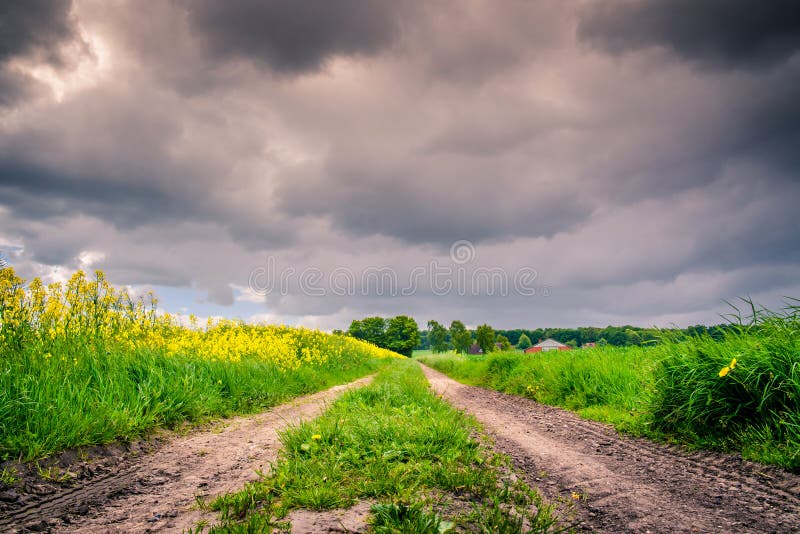 Path with dark clouds stock image. Image of foliage, cloudy - 55970915