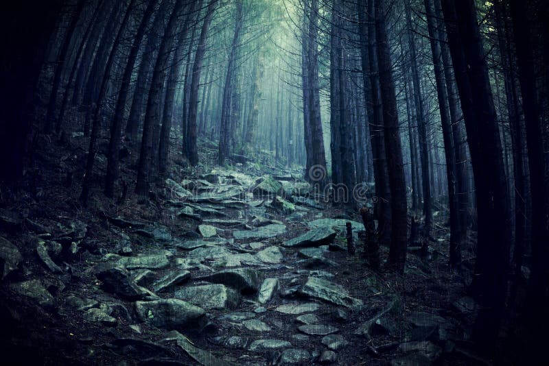 Path through a Dark Forest. Stock Image - Image of background, forest ...